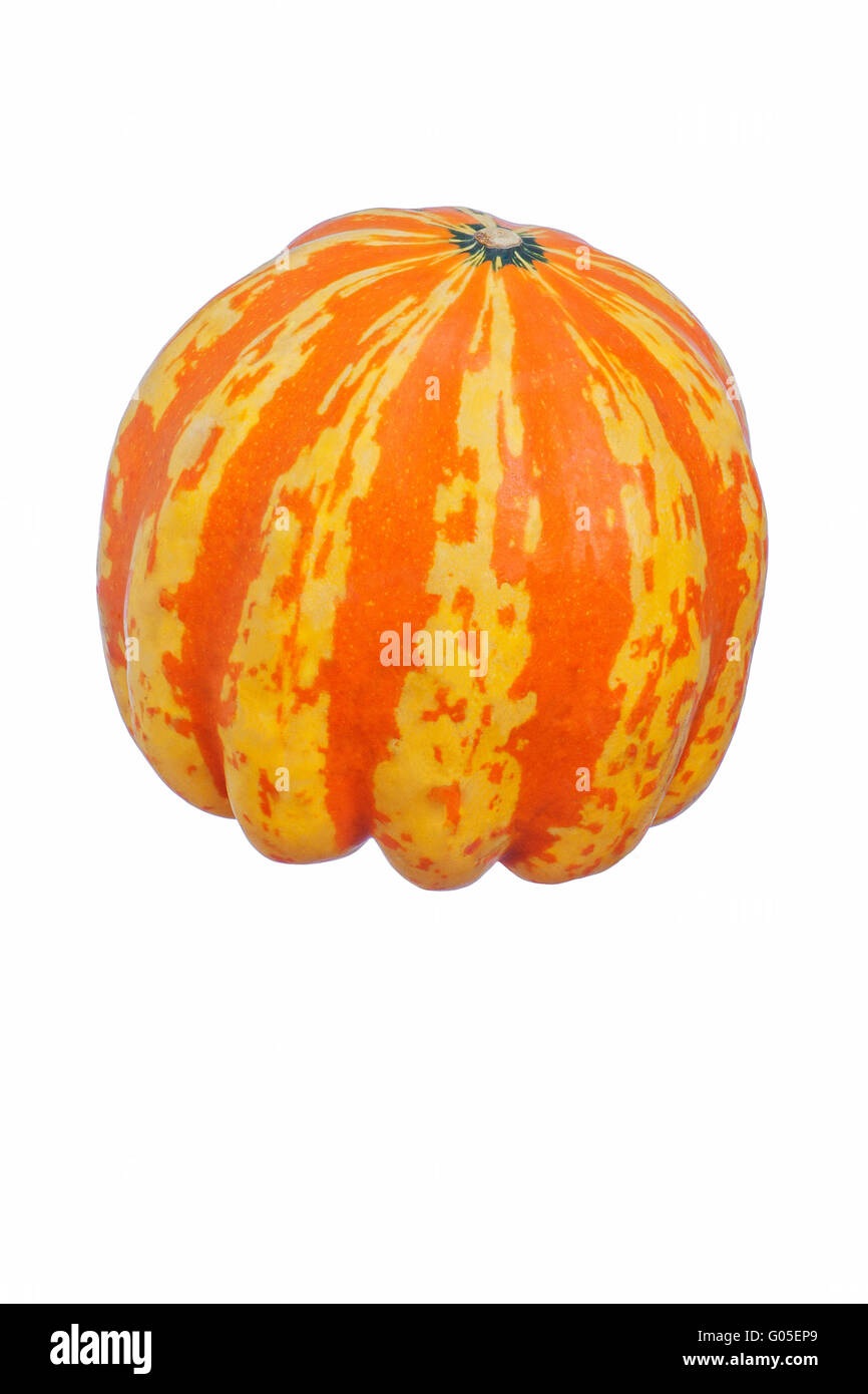 Carnival squash Cut Out Stock Images & Pictures - Alamy