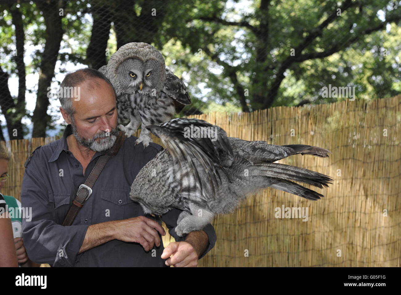 Training Bird High Resolution Stock Photography and Images - Alamy