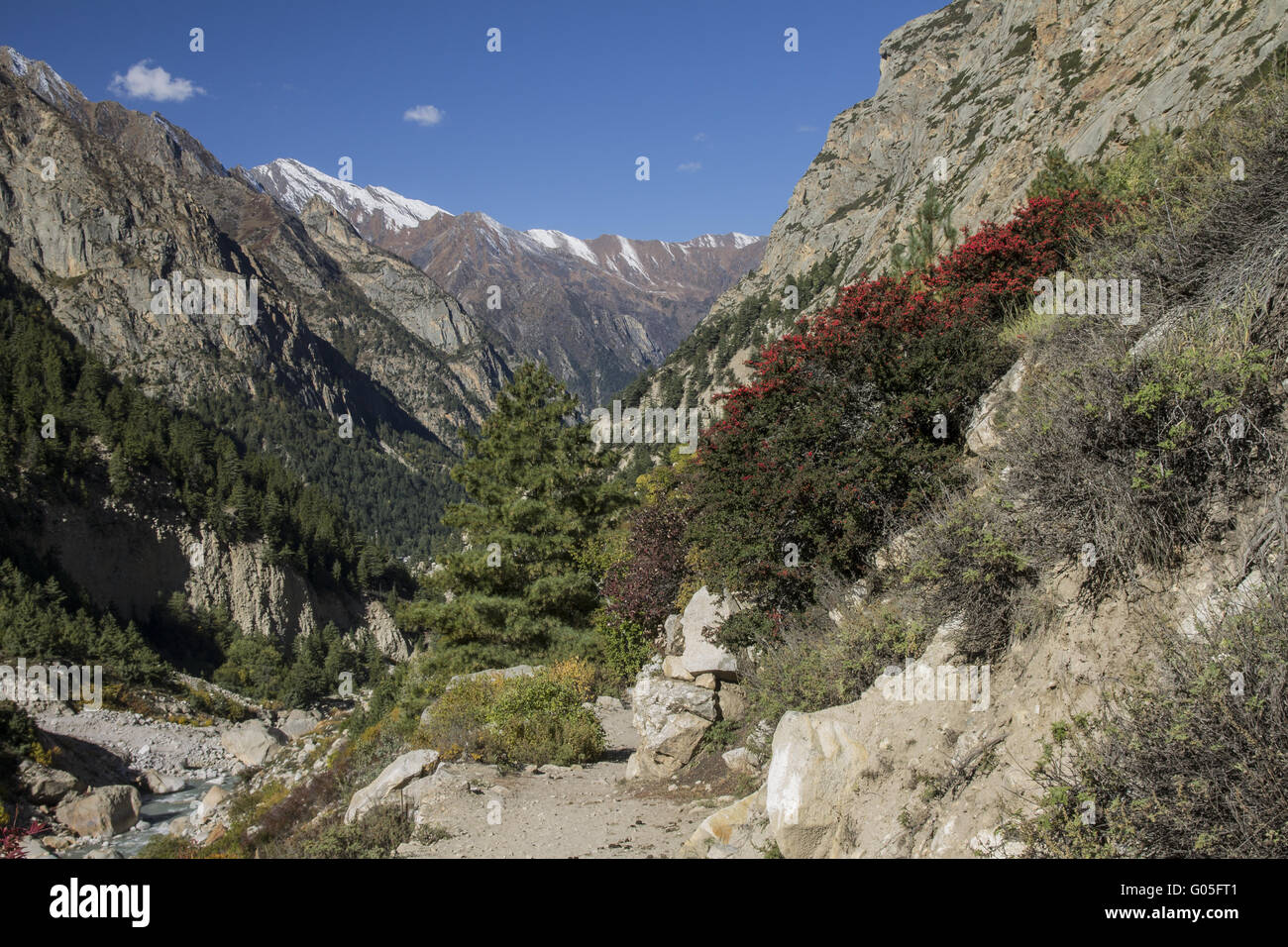 Tributary to river ganga hi-res stock photography and images - Alamy