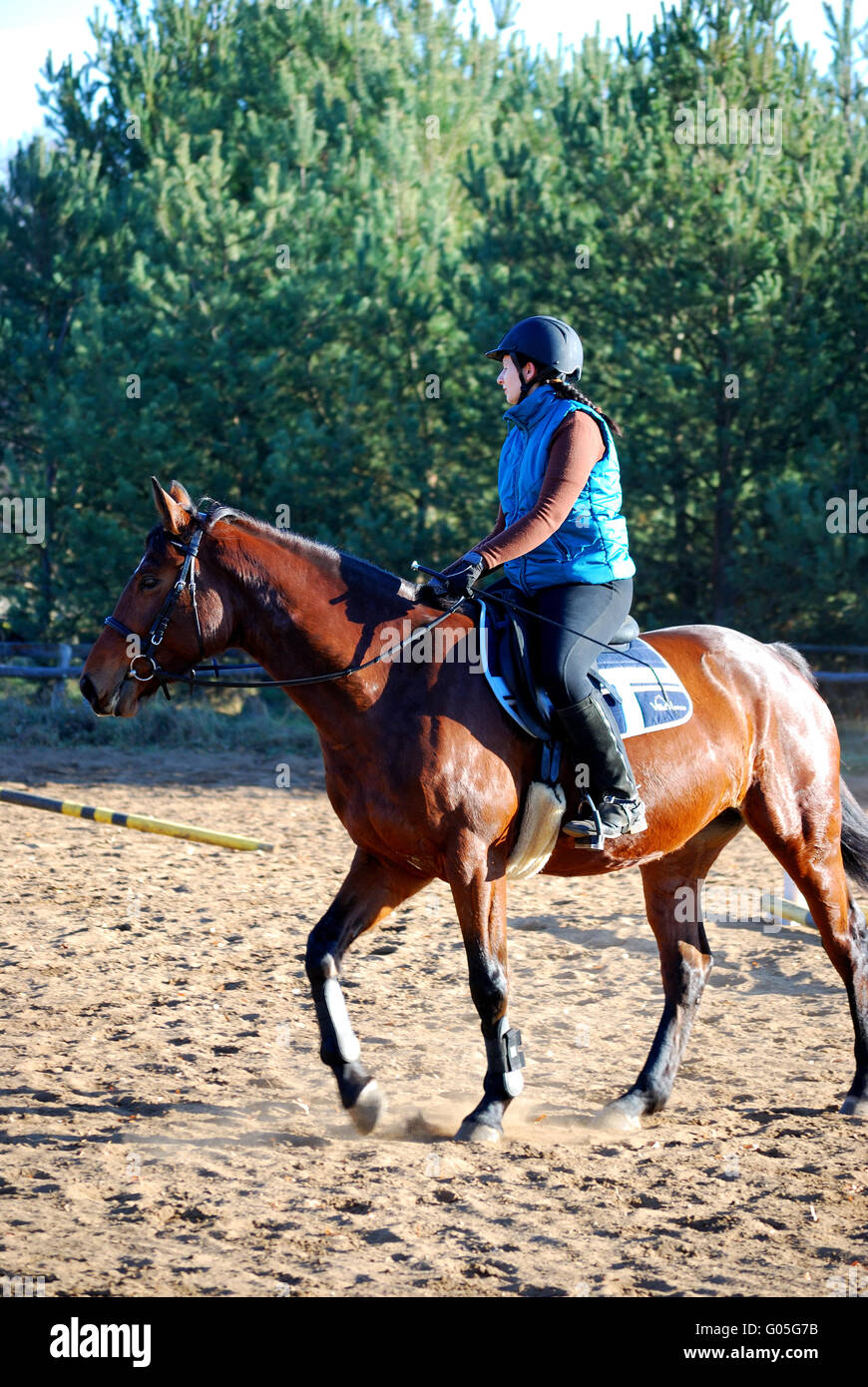 horse rider on his horse Stock Photo - Alamy