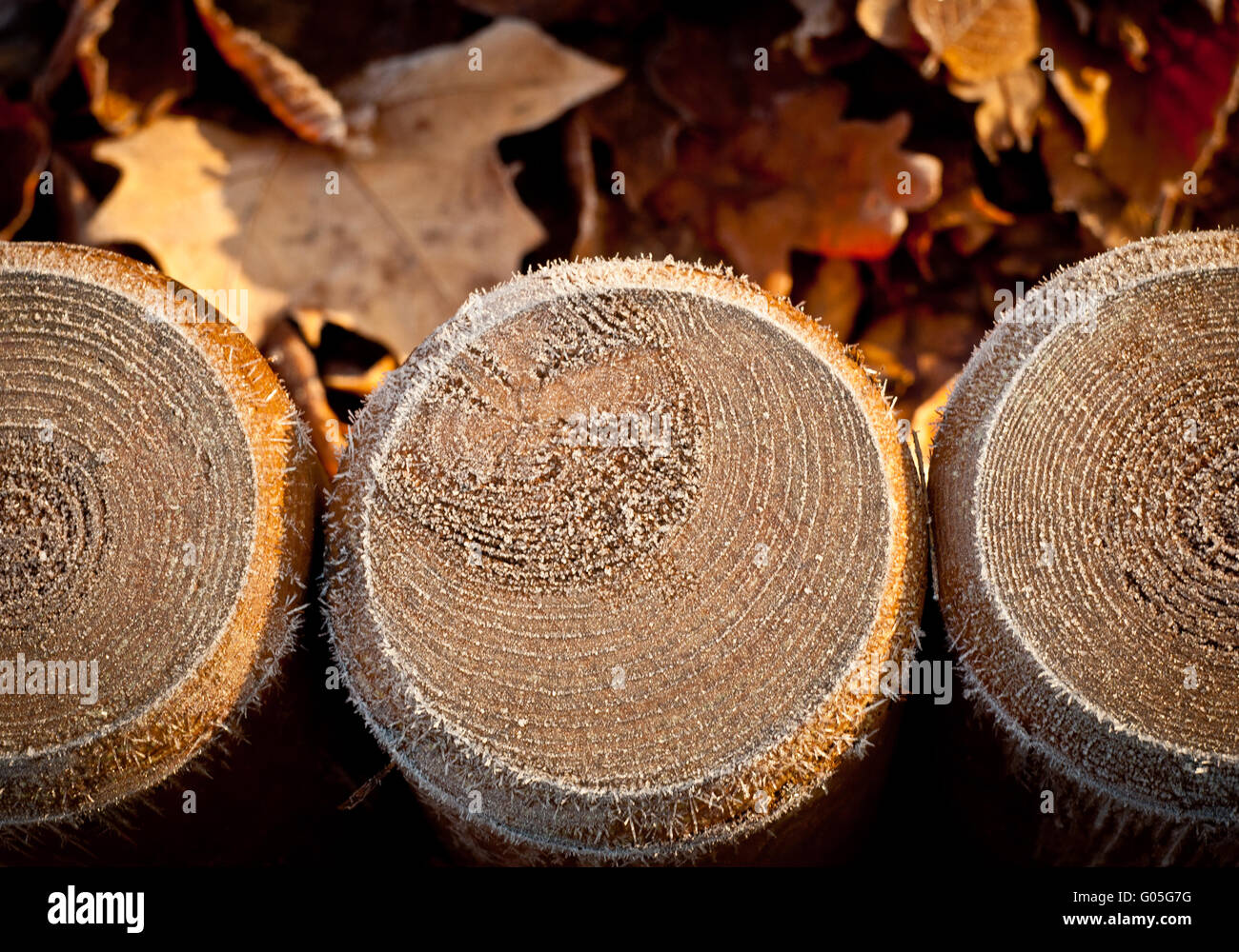 Oak pegs hi-res stock photography and images - Alamy