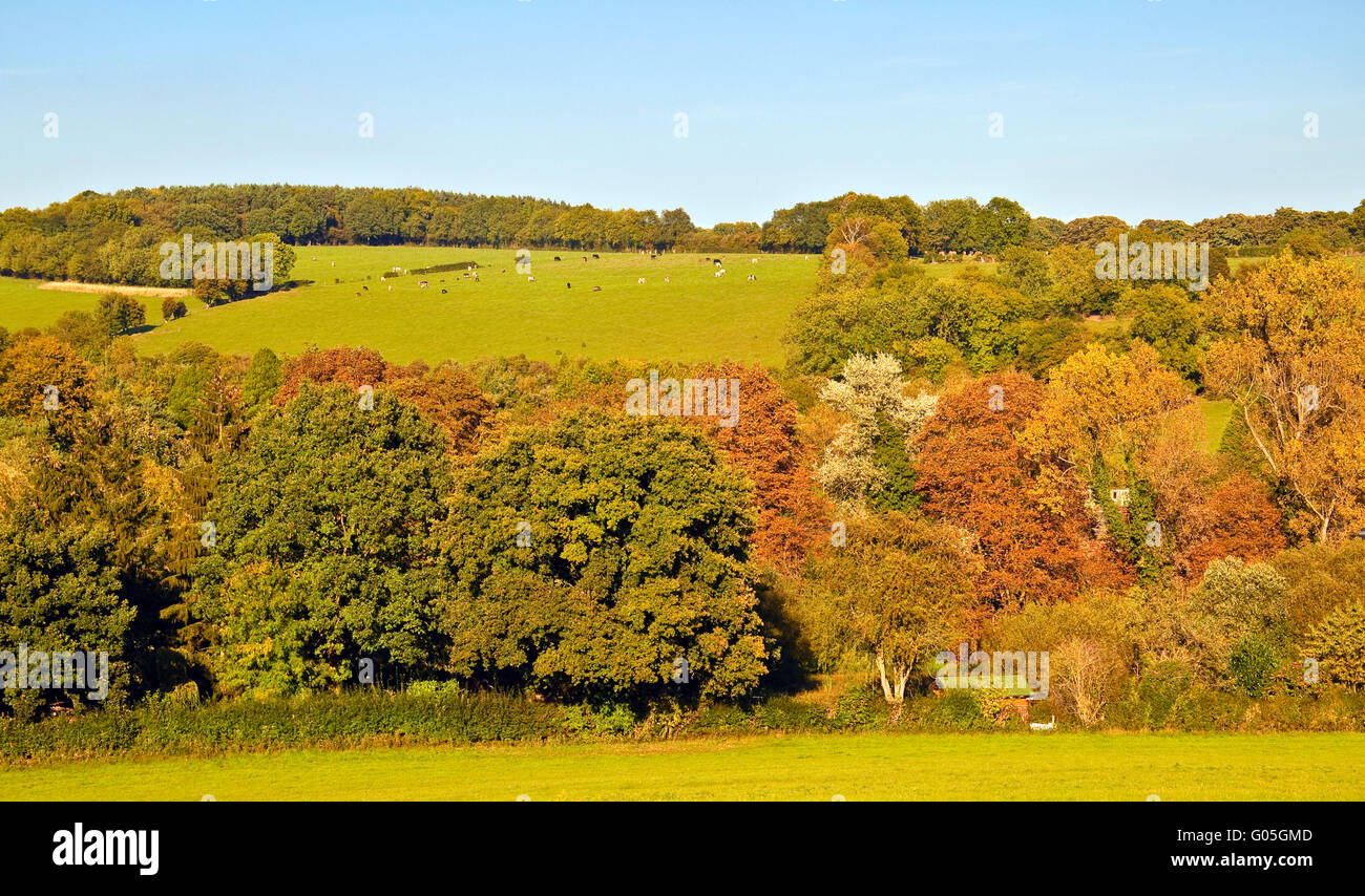 The chess valley hi-res stock photography and images - Alamy