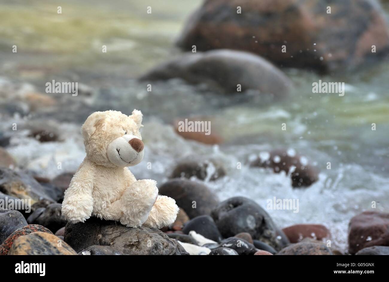 teddy bear at the sea Stock Photo - Alamy