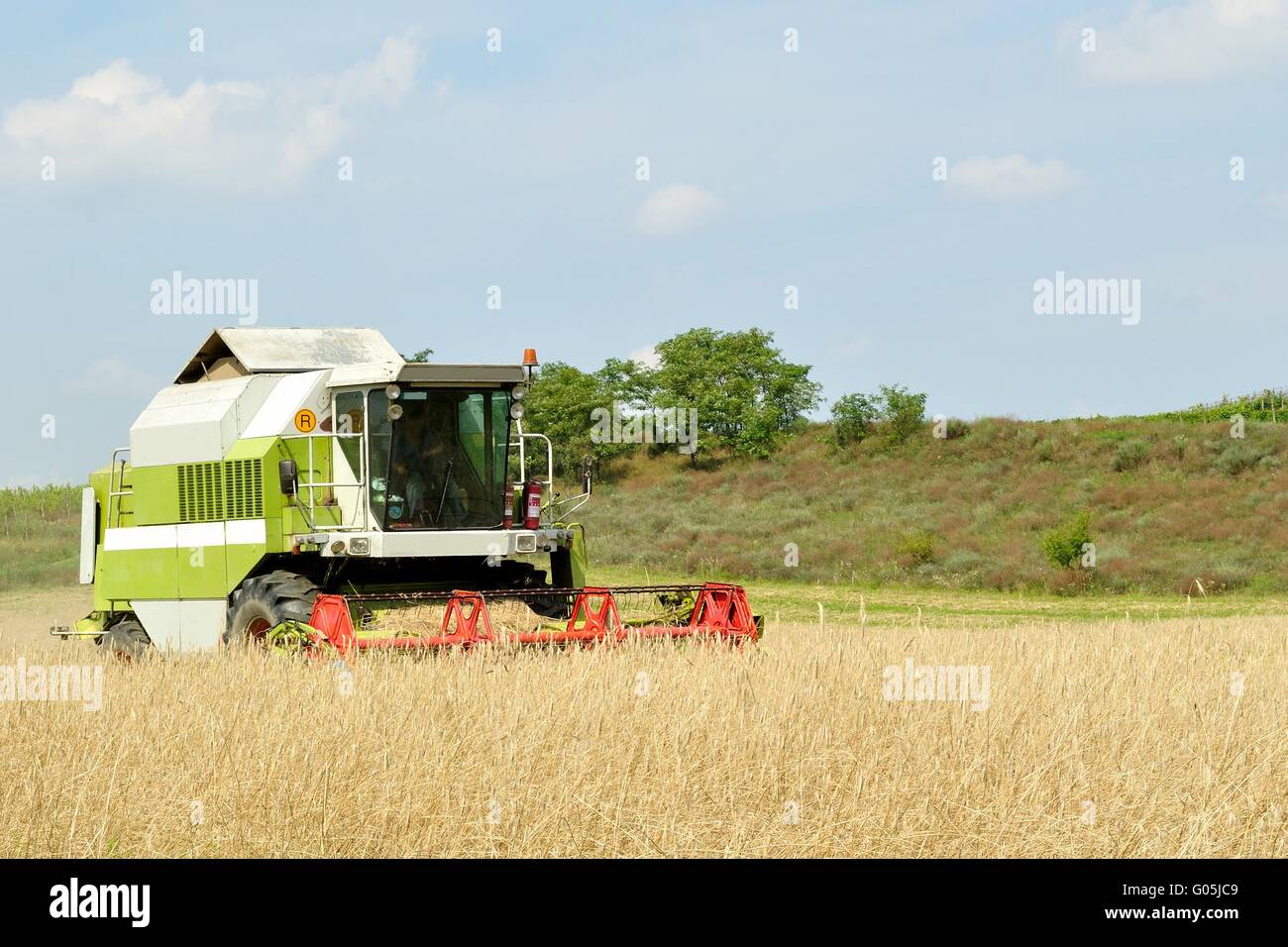 Modern combine harvester in the wheat field during harvesting Stock ...