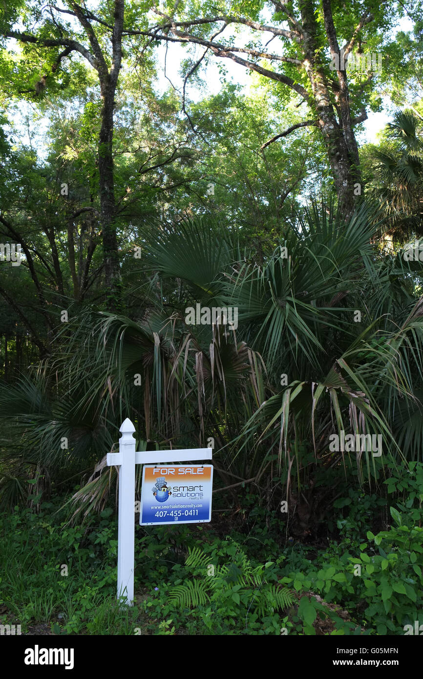 Realtor florida hi-res stock photography and images - Alamy
