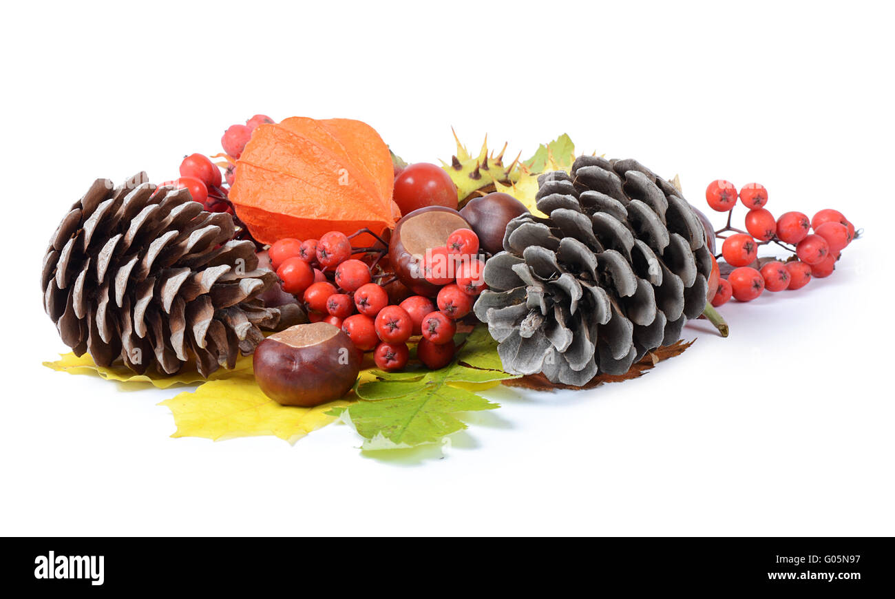 Autumn fruit pattern on Cut Out Stock Images & Pictures - Alamy