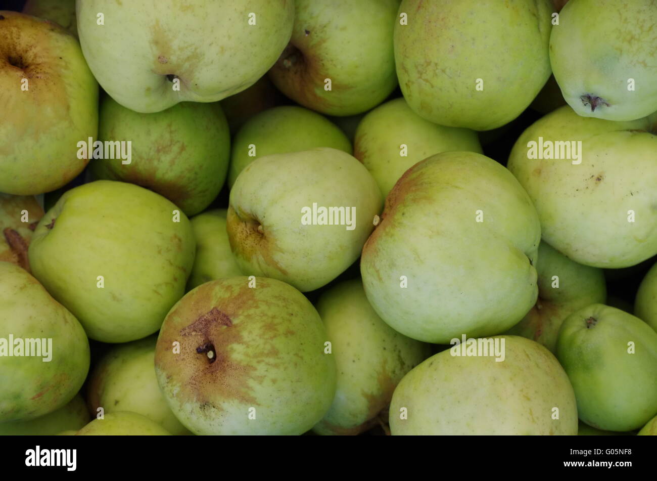 Sun ripened fruits hi-res stock photography and images - Alamy