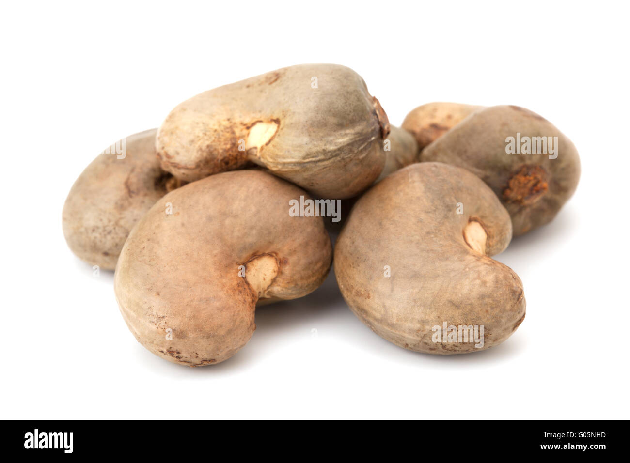Brazilian Caju seed or Cashew seed isolated on white background Stock ...