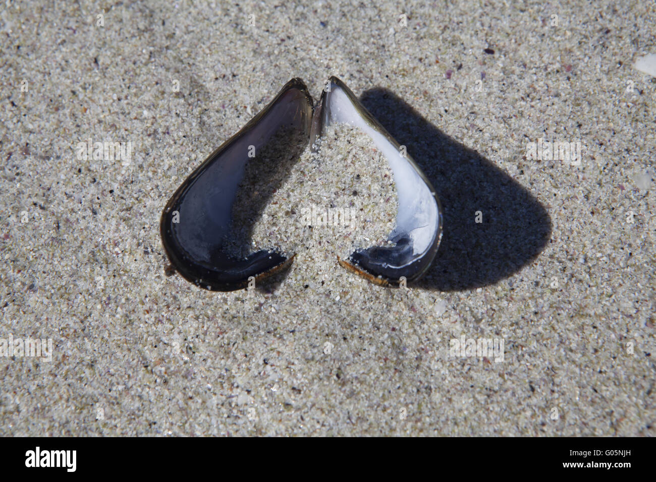 Beach forms hi-res stock photography and images - Alamy