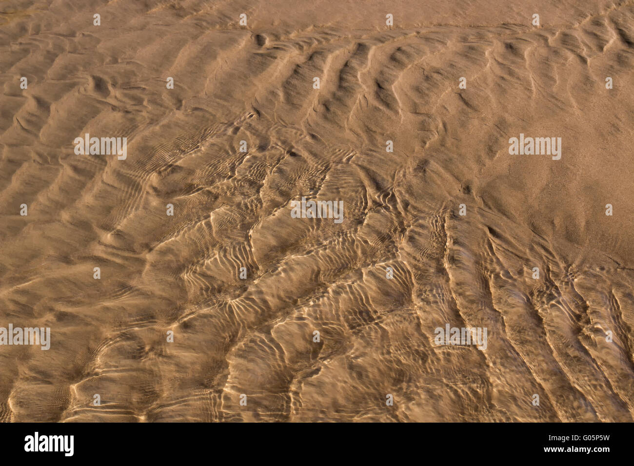 Shoreline texture wet sand hi-res stock photography and images - Alamy