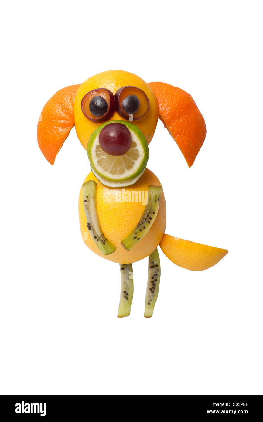 Funny fruit dog in begging pose on white background Stock Photo - Alamy