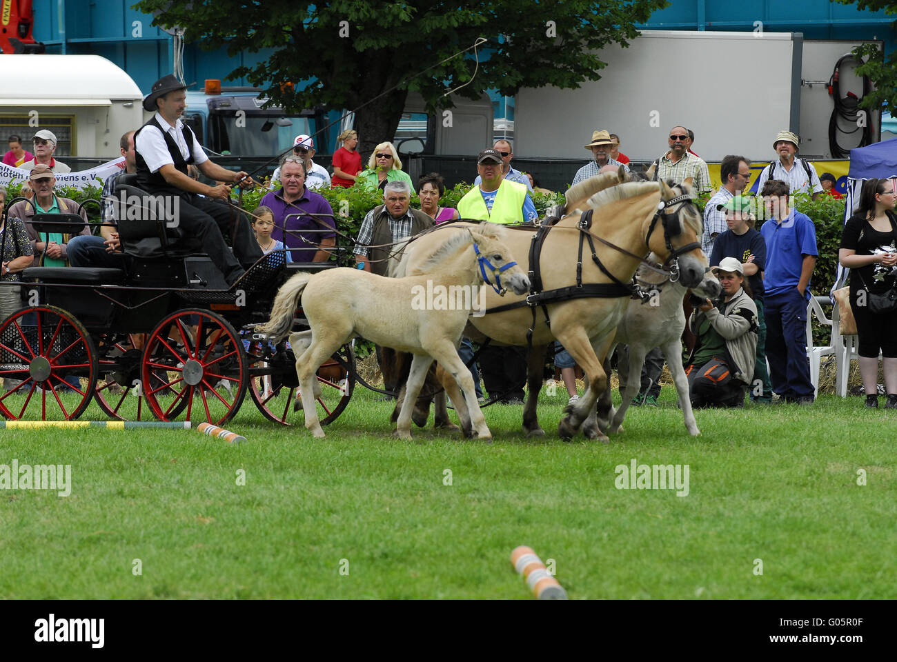 Curricle carriage hi-res stock photography and images - Alamy