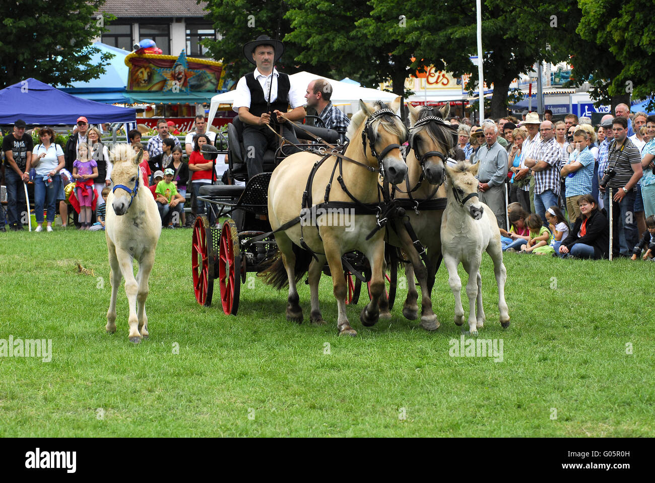 Curricle carriage hi-res stock photography and images - Alamy