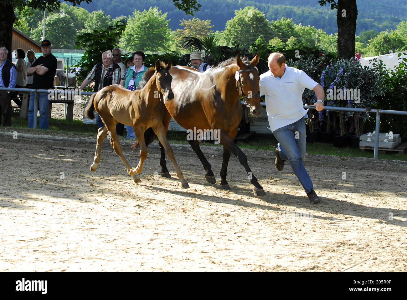 Speed award hi-res stock photography and images - Alamy