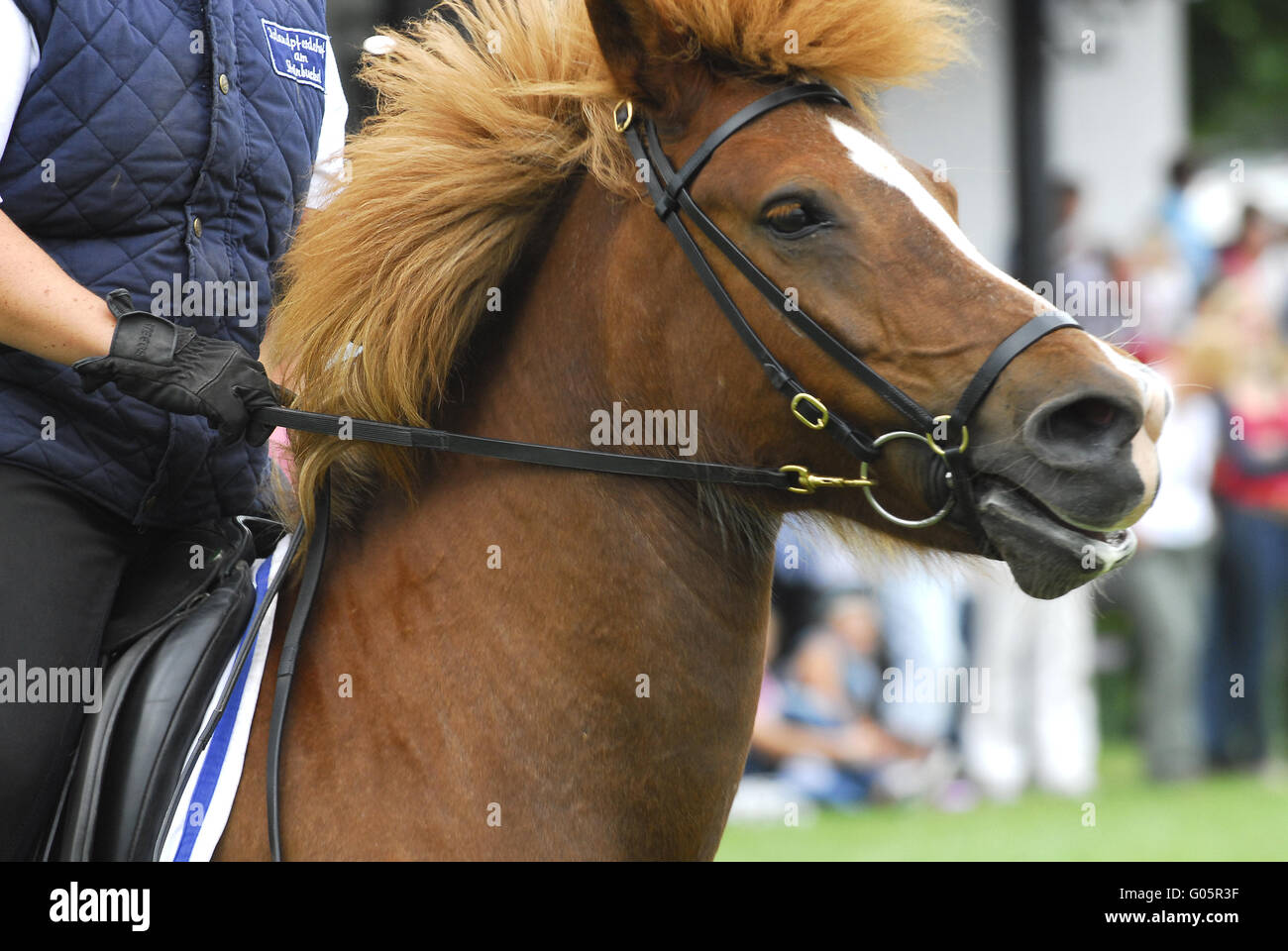 Reitkappe hi-res stock photography and images - Alamy