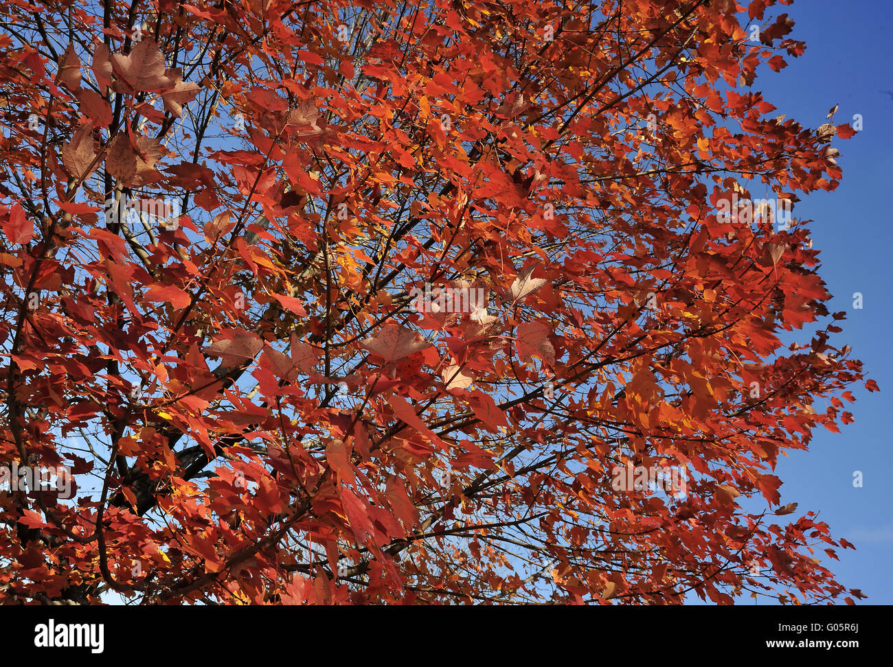 Enlighten me with joy Stock Photo - Alamy