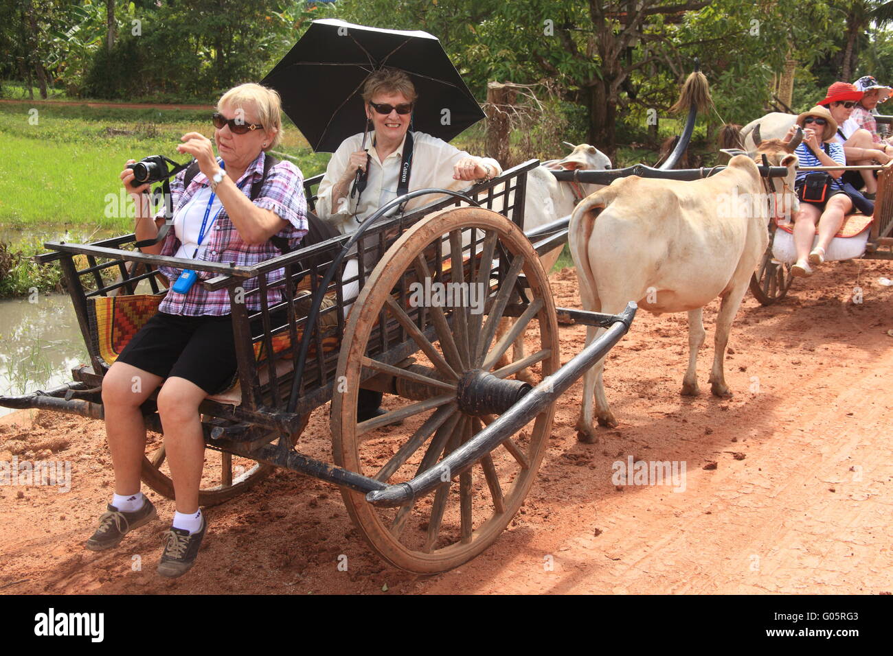 Ox chart hi-res stock photography and images - Alamy