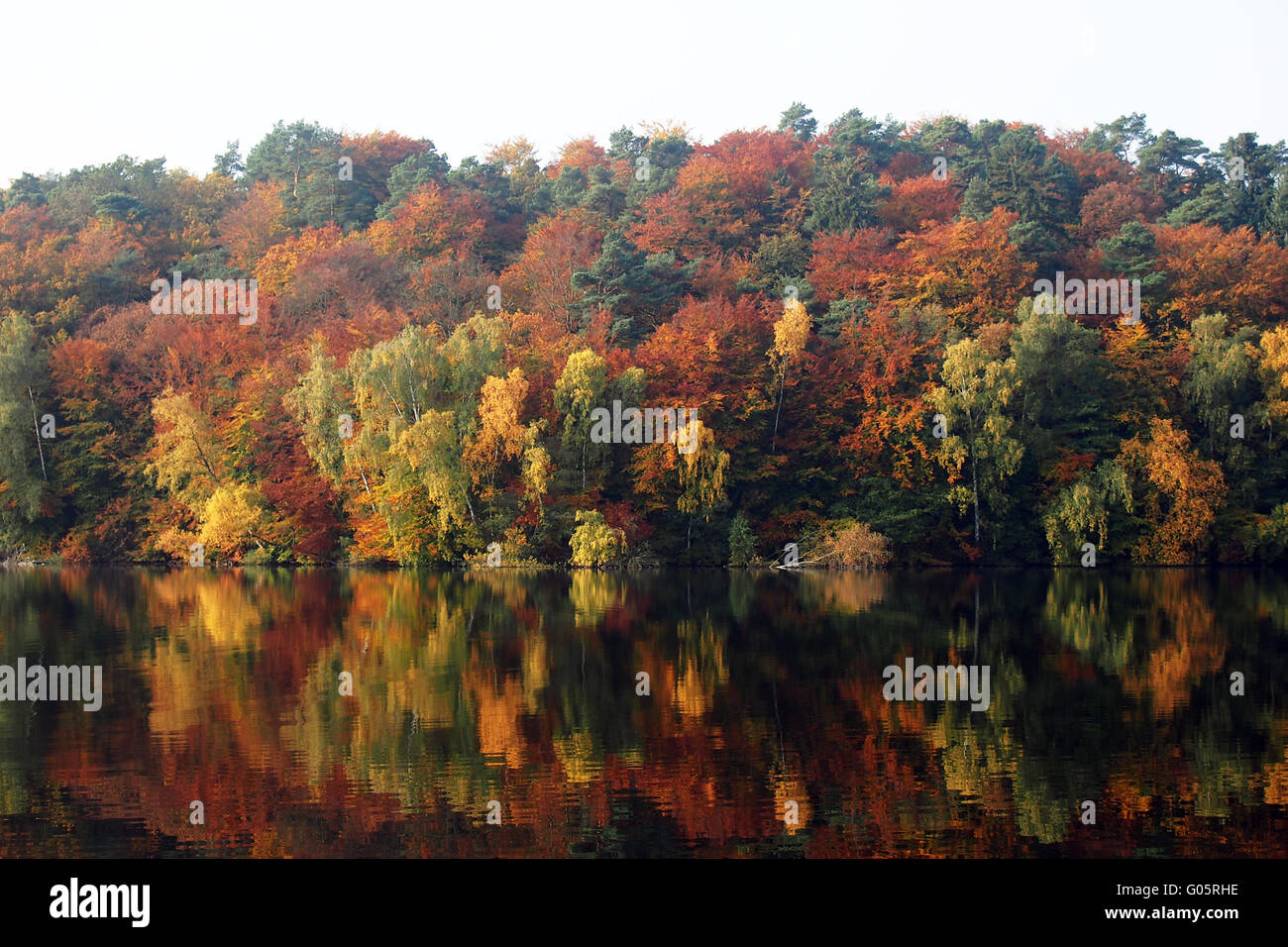 Leave impression hi-res stock photography and images - Alamy