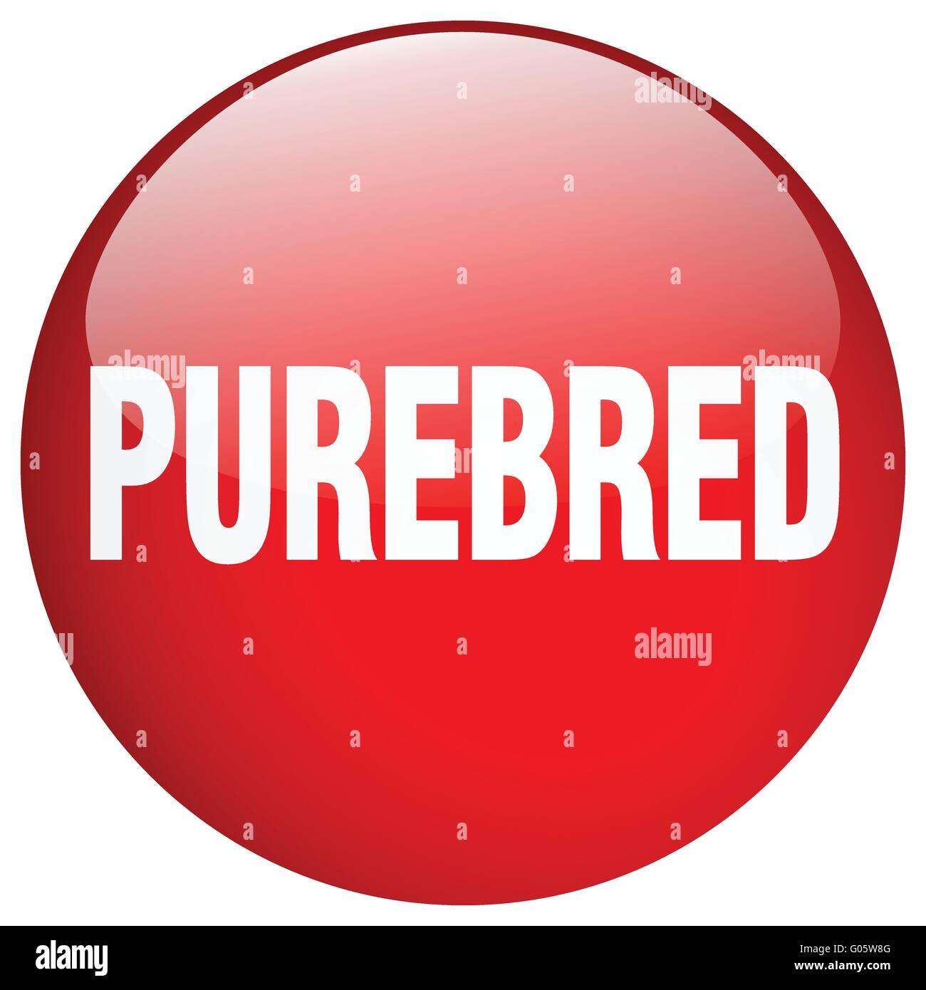 purebred red round gel isolated push button Stock Vector Image & Art ...