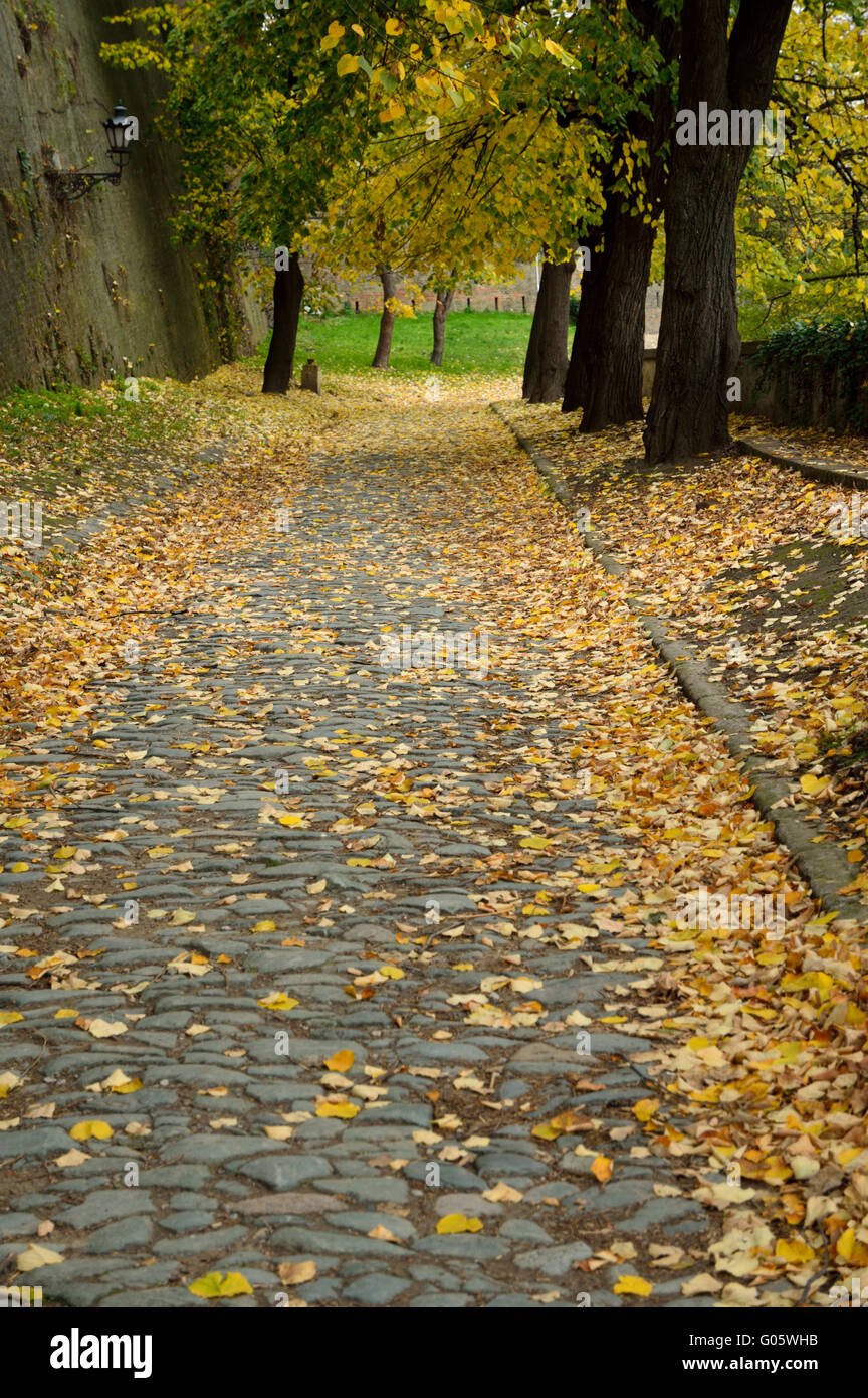 Autumn Walk Road Stock Photo - Alamy