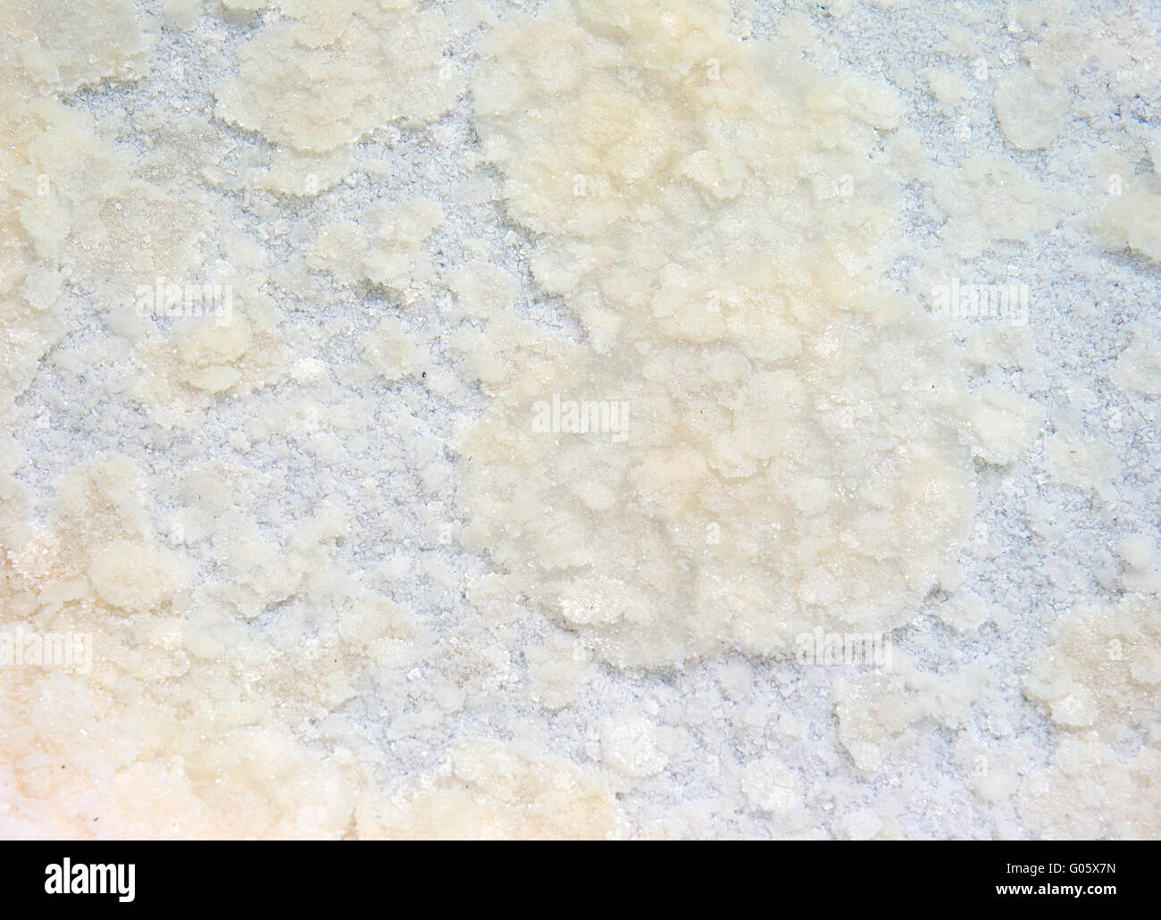 Texture of raw salt on a bottom of a salty lake Stock Photo - Alamy