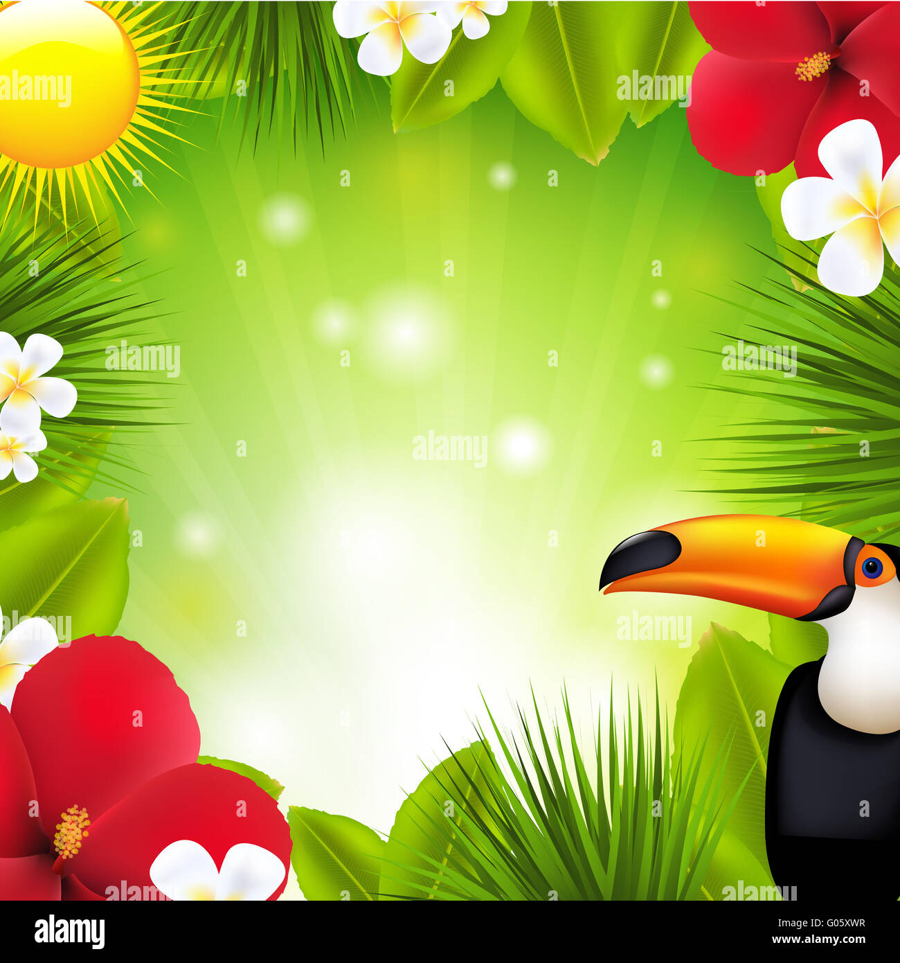 Tropical elements hi-res stock photography and images - Alamy