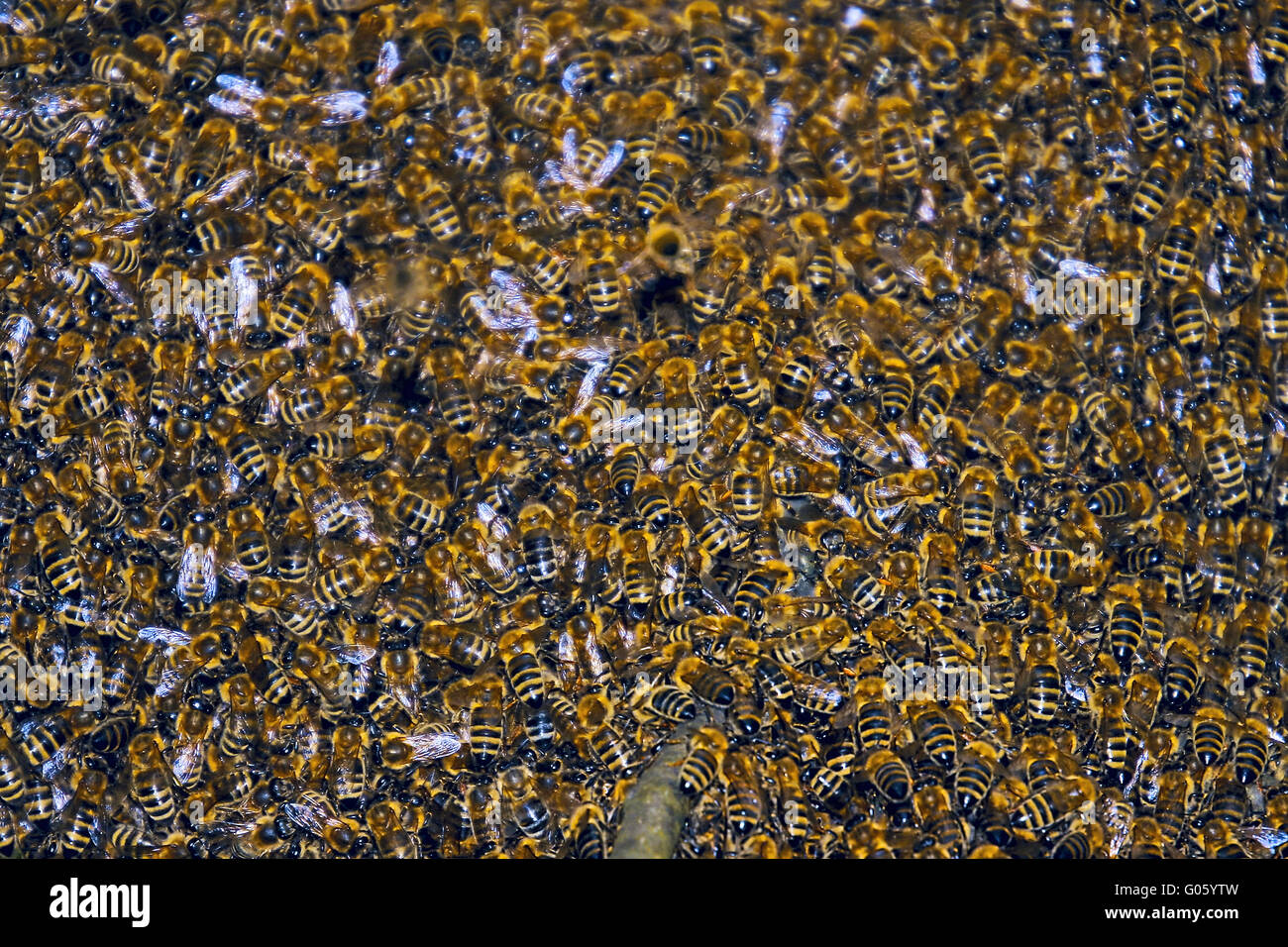 Preswarm hi-res stock photography and images - Alamy