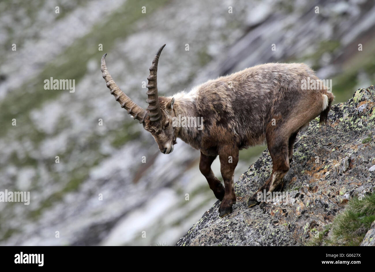 Alpin terrain hi-res stock photography and images - Alamy