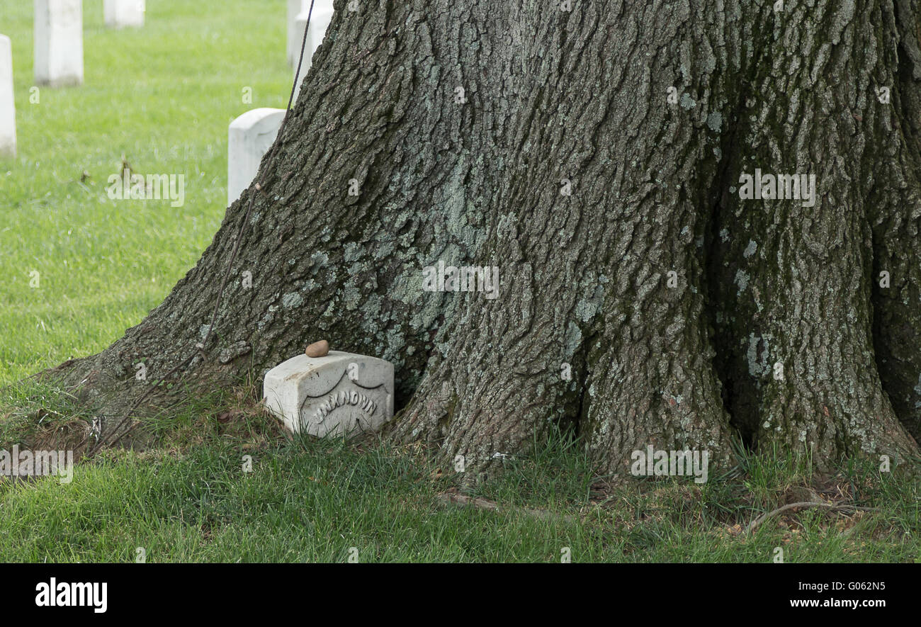 The overgrown grave of an unknown US soldier, almost consumed and ...