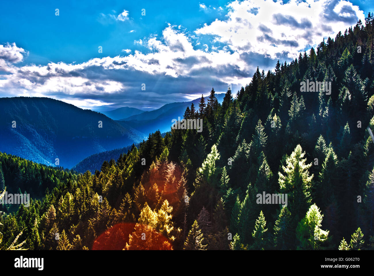 Hdr forrest hi-res stock photography and images - Alamy