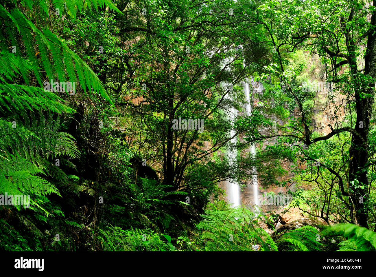 Queen Mary Falls in Killarney, Main Range National Park, Queensland ...