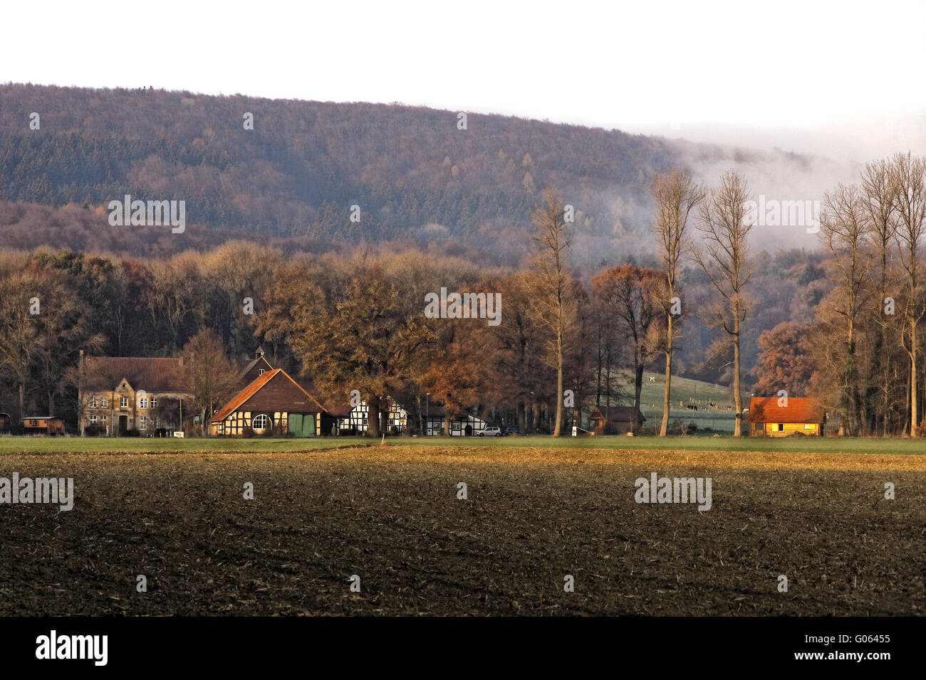 Baum bauernhof herbst bauernhaus hi-res stock photography and images ...