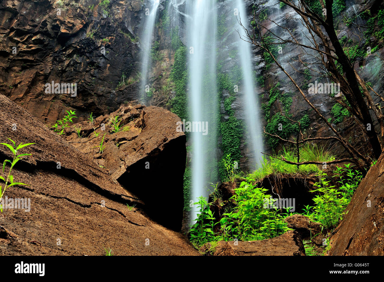 Queen Mary Falls in Killarney, Main Range National Park, Queensland ...
