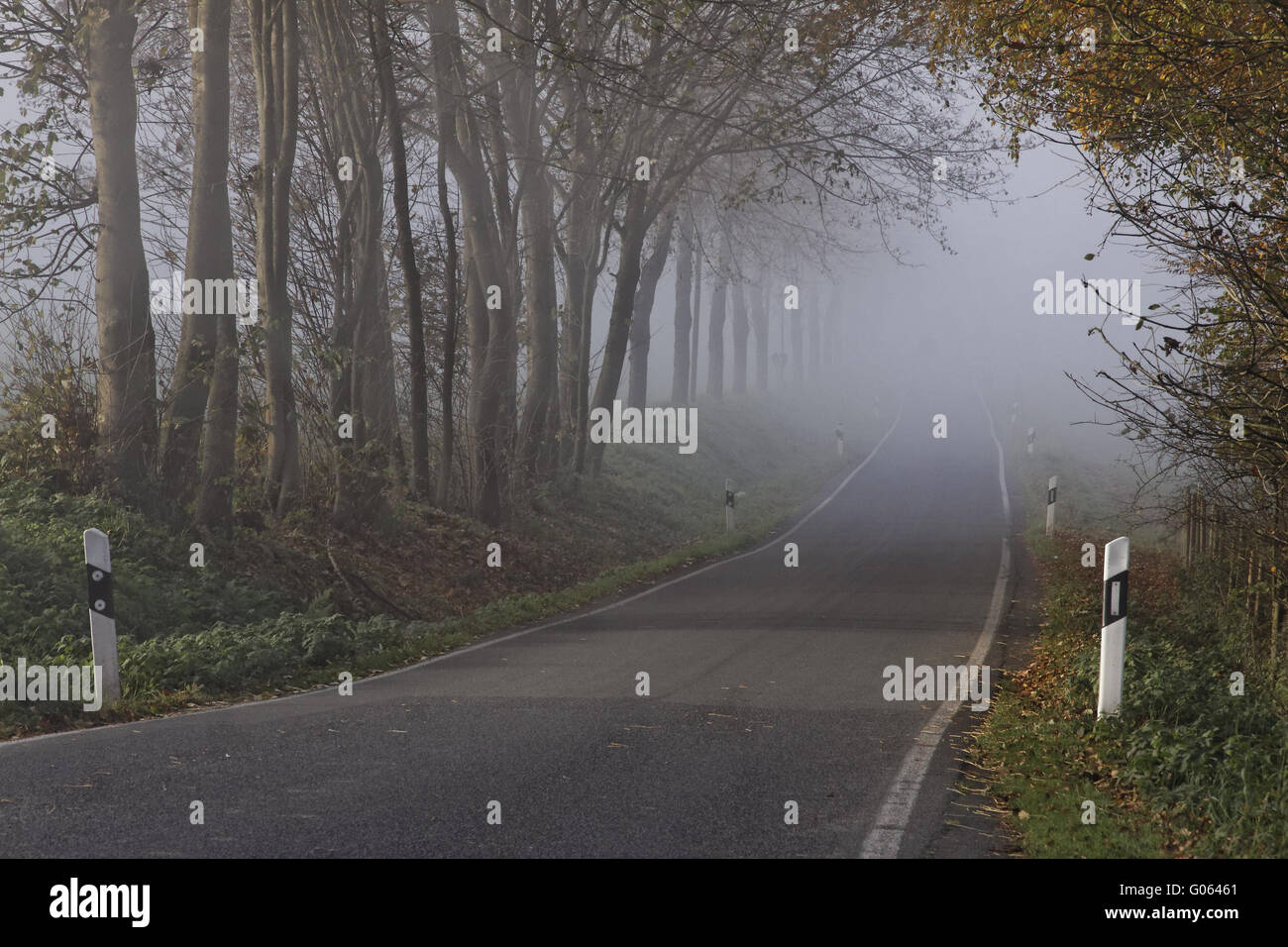 Country road in dense fog hi-res stock photography and images - Alamy