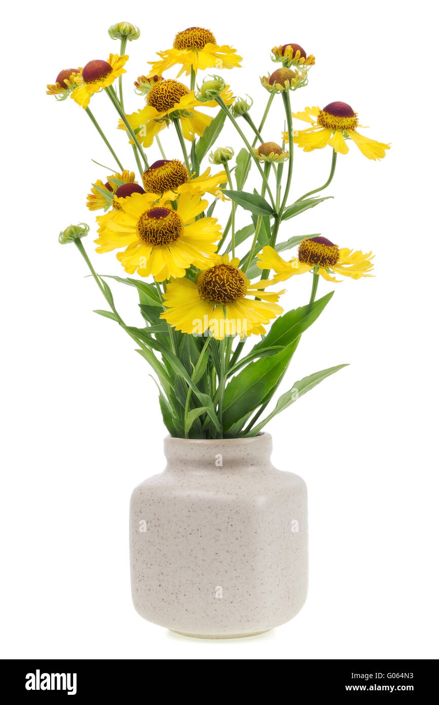 minimalistic bouquet - mini yellow flowers Stock Photo - Alamy