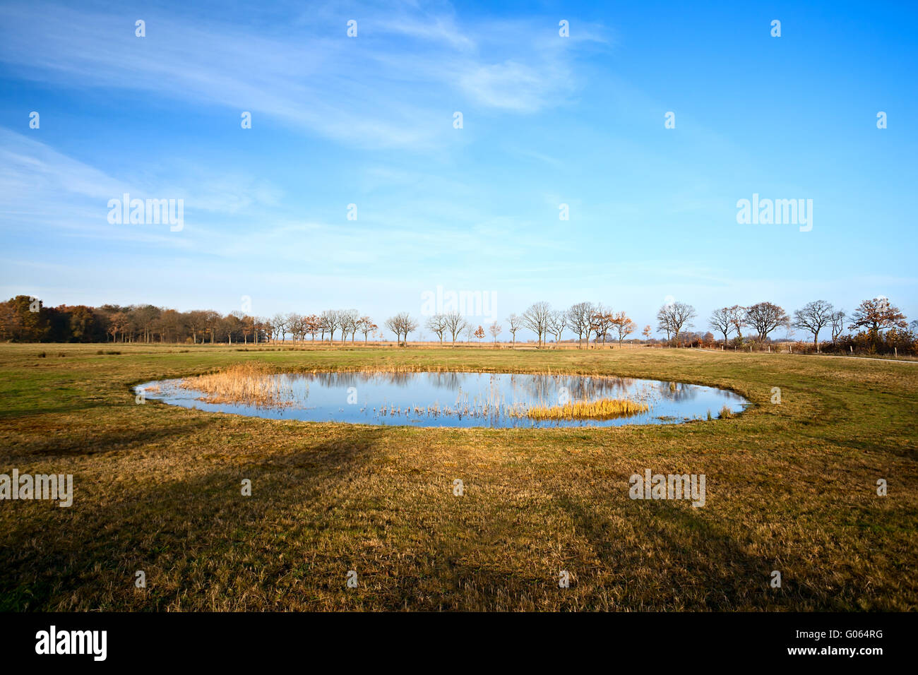 little round pond Stock Photo - Alamy