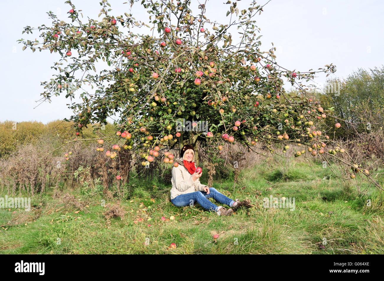 Unterm apfelbaum hi-res stock photography and images - Alamy