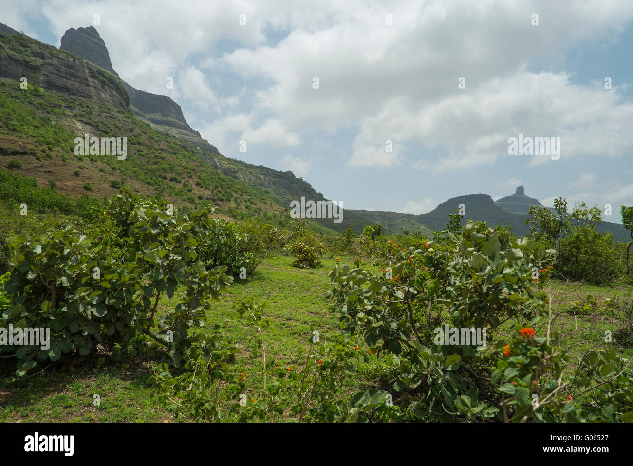 The Satmala Range, Sahyadri Mountains, near Dhodambe in Nashik district ...