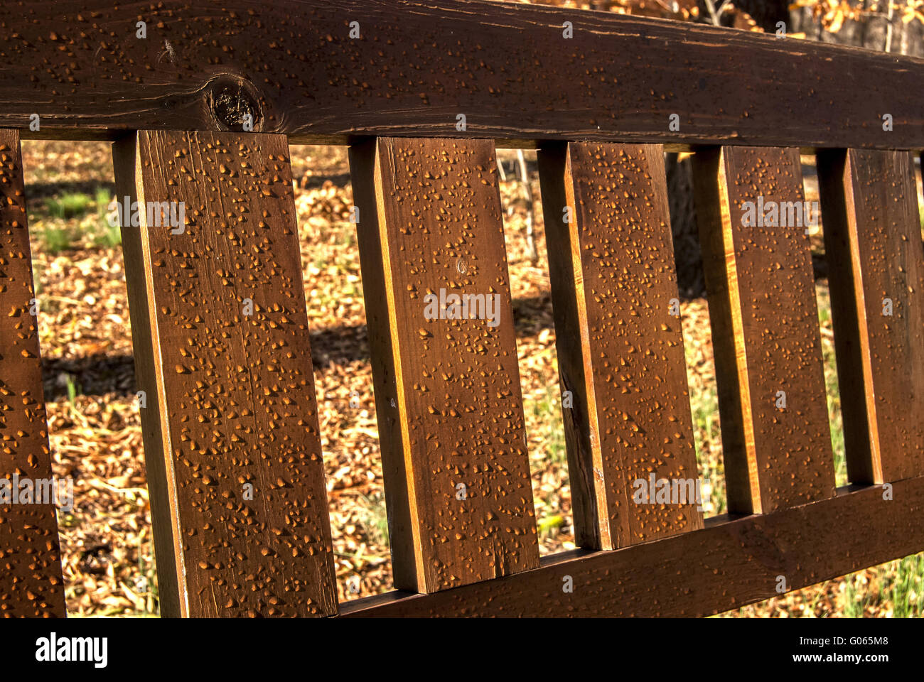 Wet wooden bench back three boards rain drops pers Stock Photo - Alamy