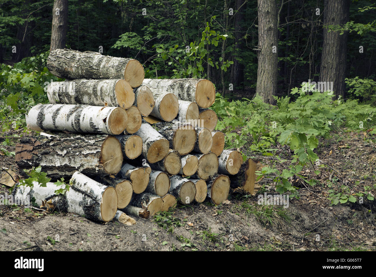 Stacking operations hi-res stock photography and images - Alamy