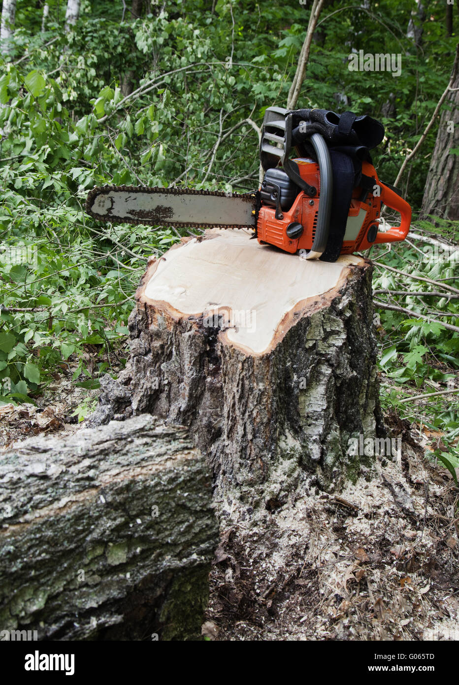 Chain sawed wood hi-res stock photography and images - Alamy