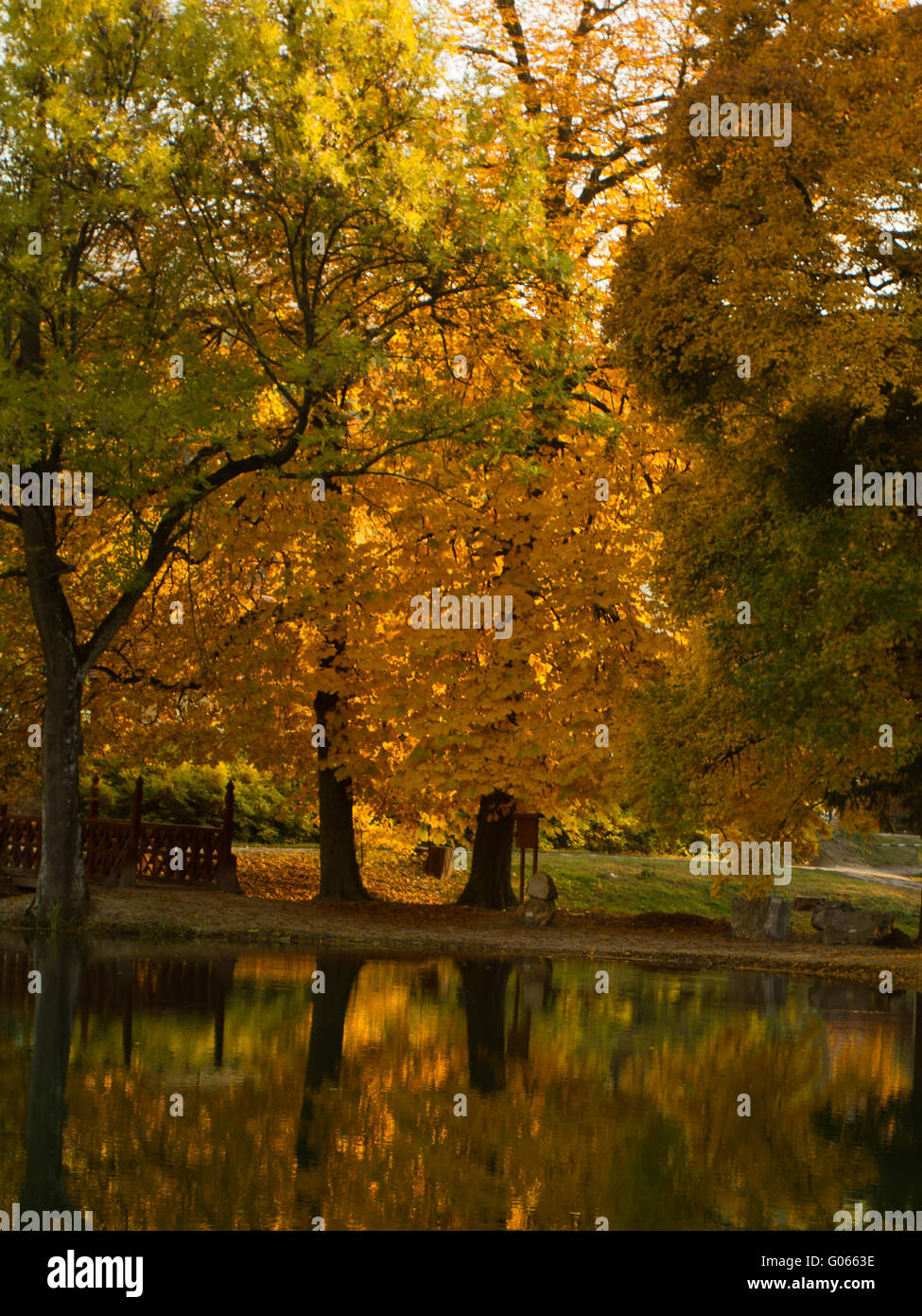 Beautiful colors of autumn landscape by the lake Stock Photo - Alamy