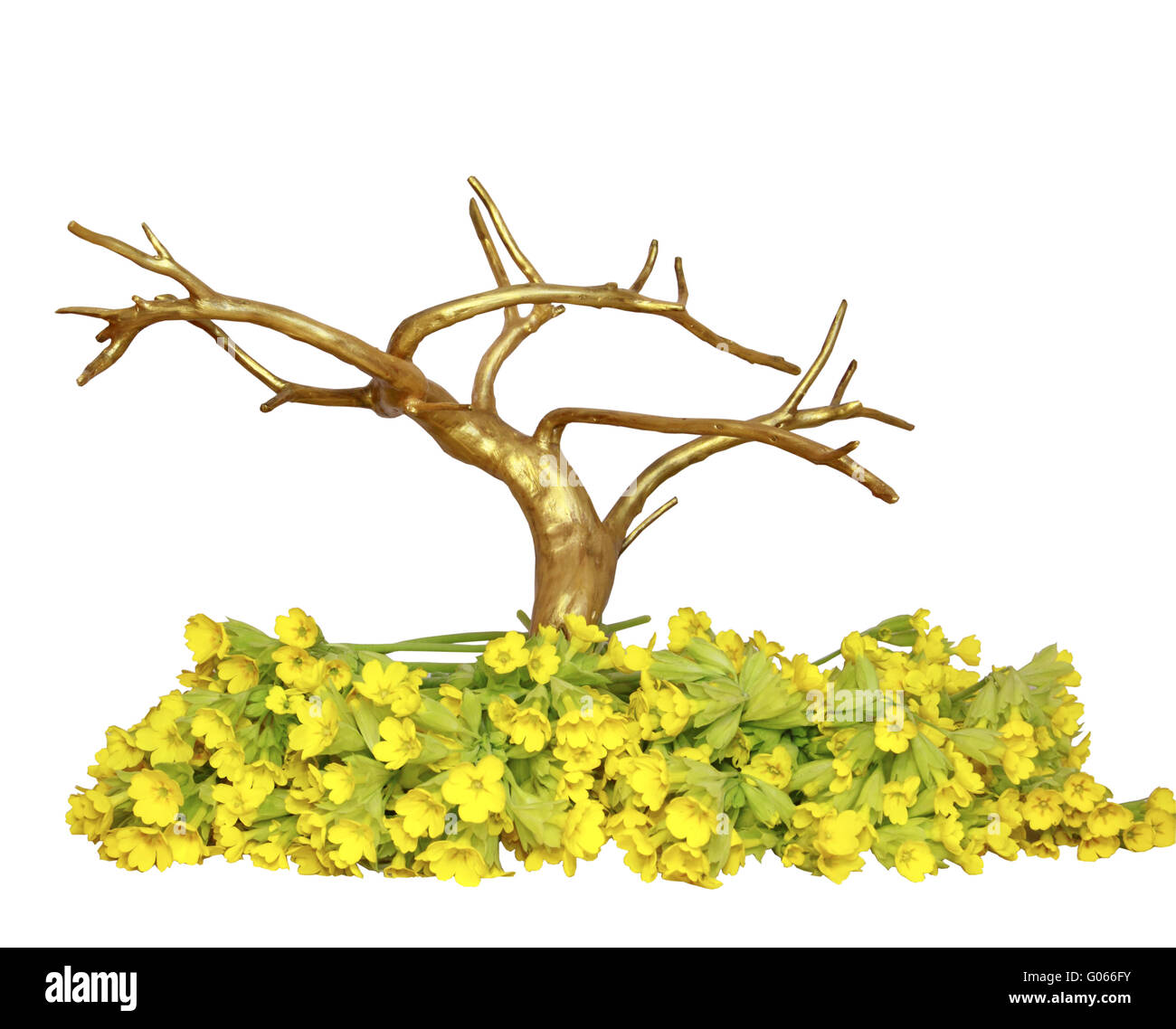 Tree and yellow field Cut Out Stock Images & Pictures - Alamy