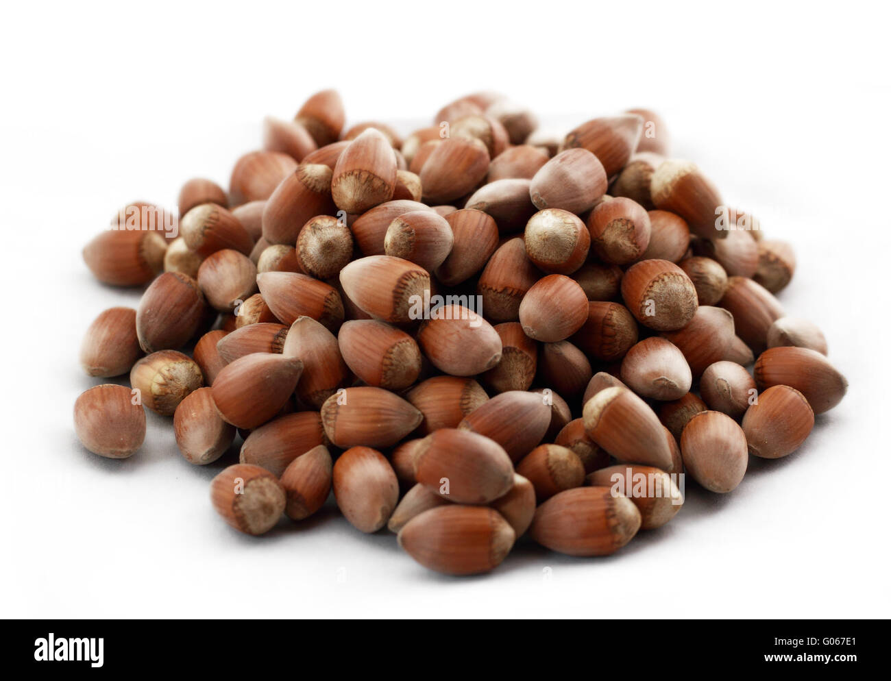 Hazelnut close up isolated on white background Stock Photo - Alamy