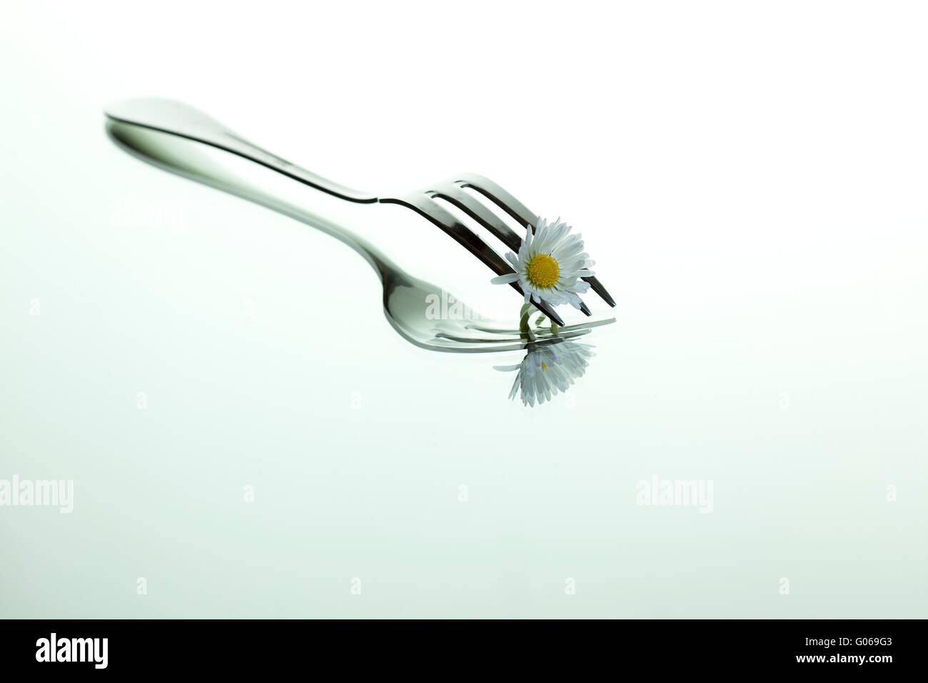 Steel Forks with daisy flower on shiny mirror surface Stock Photo - Alamy