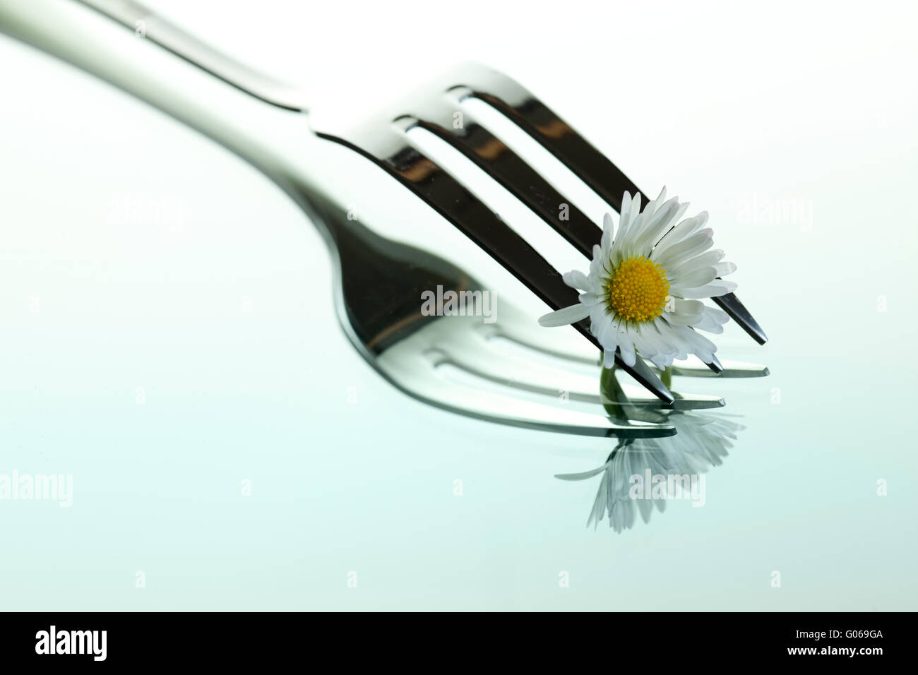 Steel Forks with daisy flower on shiny mirror surface Stock Photo - Alamy