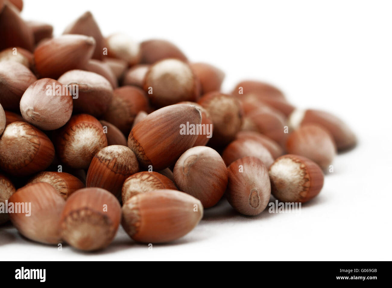 Hazelnut close up isolated on white background Stock Photo - Alamy