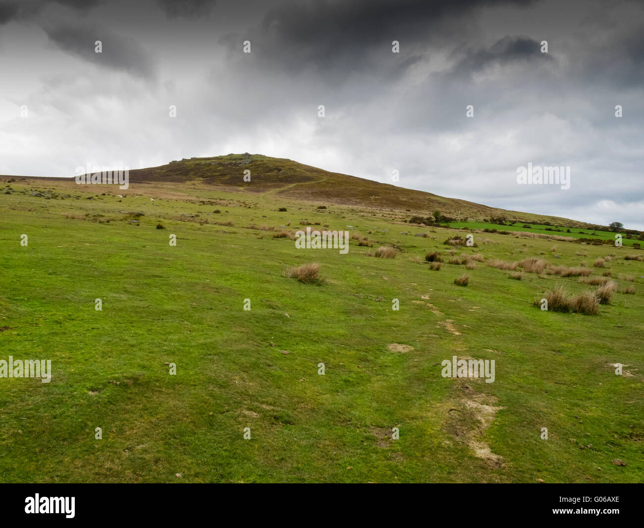 Mynydd Preseli, the Preseli Hills in the Pembrokeshire Coast National ...