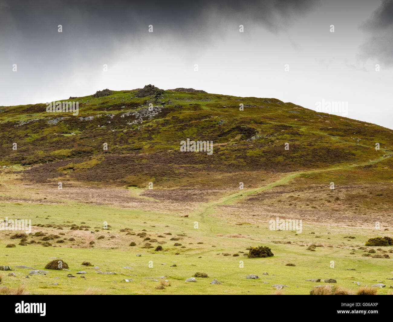 In The Preseli Mountains In Wales High Resolution Stock Photography and ...