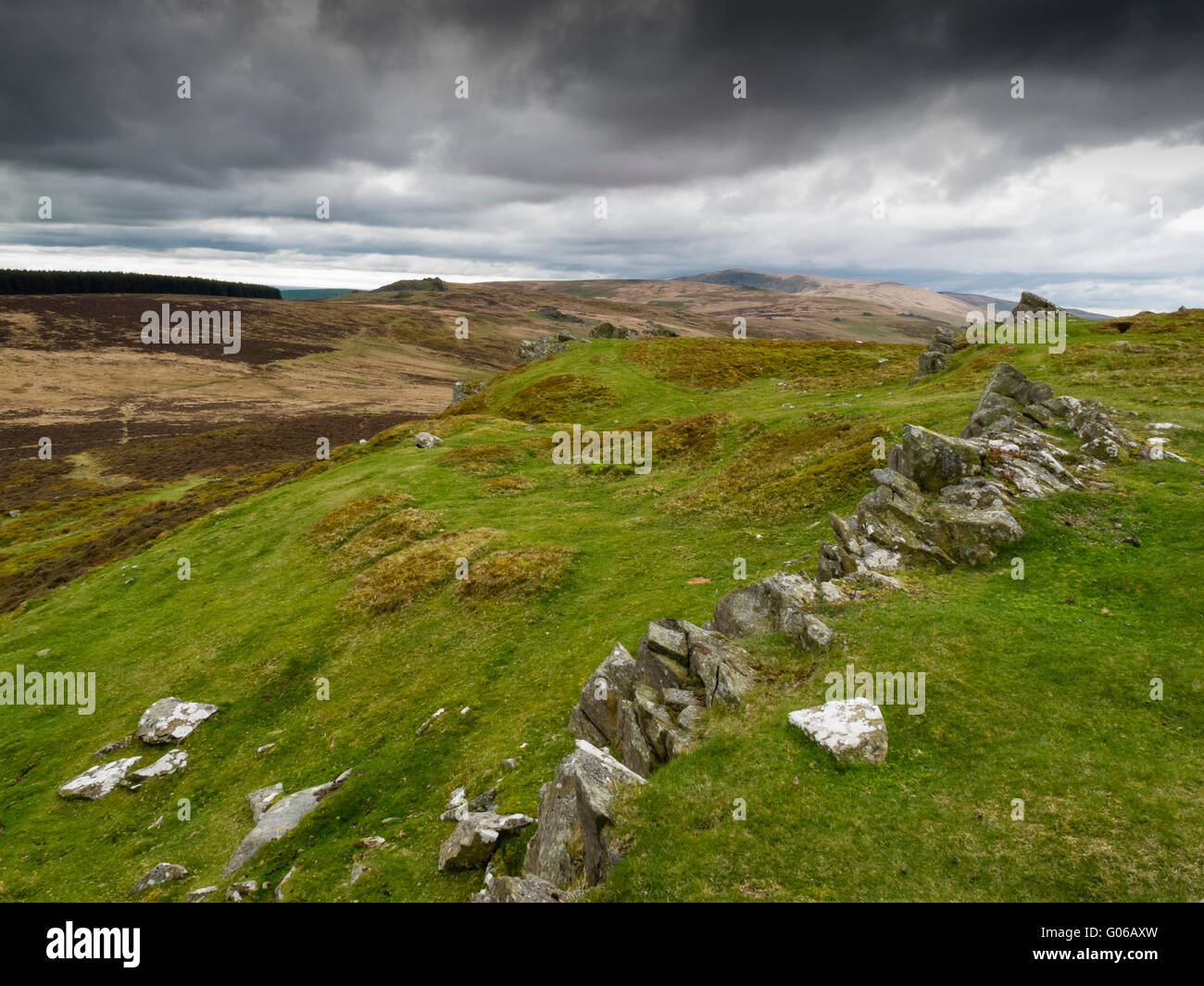 In the preseli mountains in wales hi-res stock photography and images ...